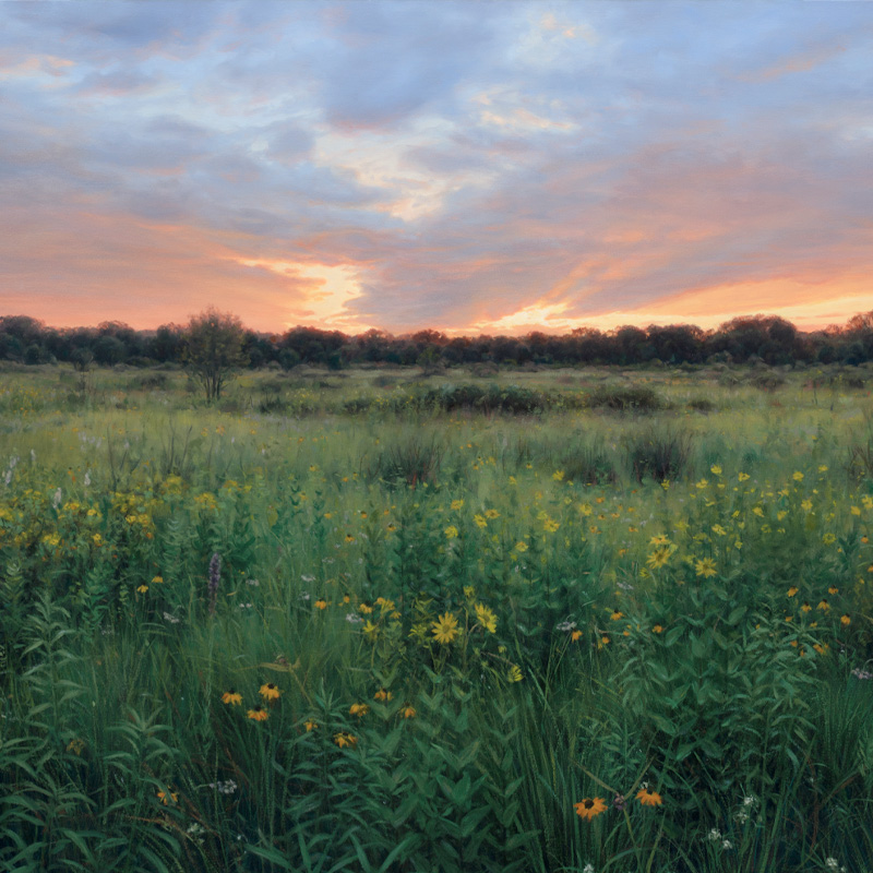 Picturing the Prairie | Chicago Botanic Garden