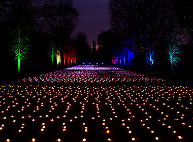 Lightscape | Chicago Botanic Garden