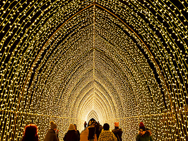 Lightscape | Chicago Botanic Garden