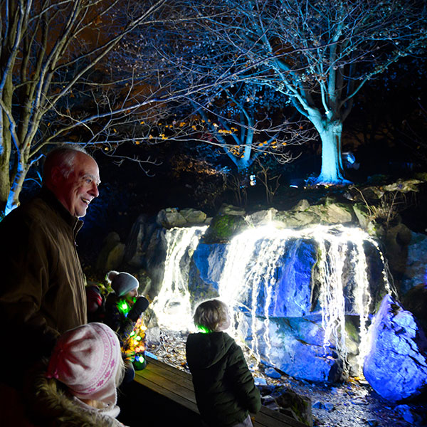 Lightscape | Chicago Botanic Garden