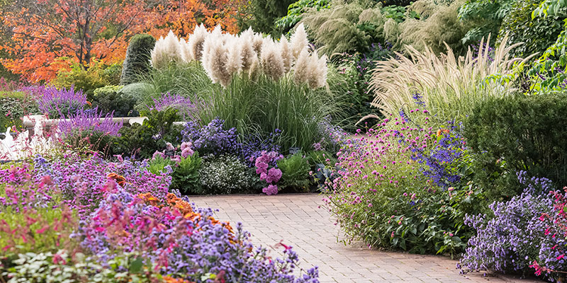 Circle Garden | Chicago Botanic Garden