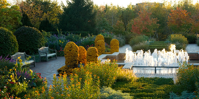 Circle Garden | Chicago Botanic Garden