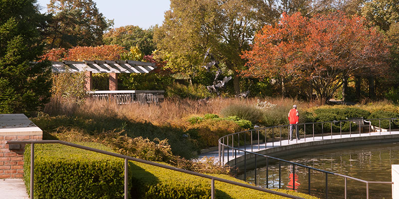 Native Plant Garden | Chicago Botanic Garden