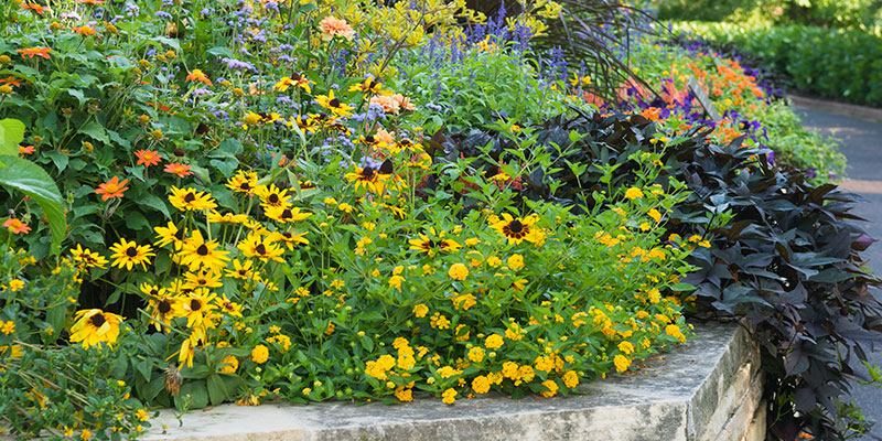 Sensory Garden | Chicago Botanic Garden