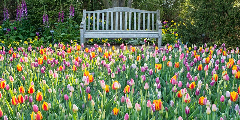 Circle Garden | Chicago Botanic Garden