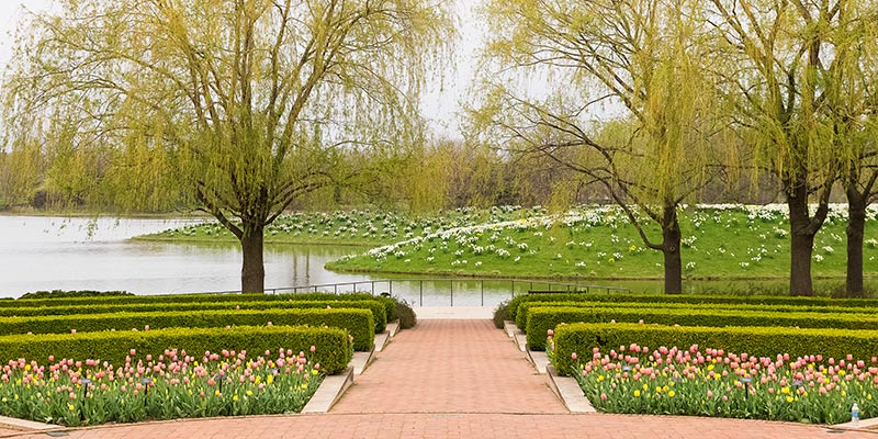 The Crescent | Chicago Botanic Garden