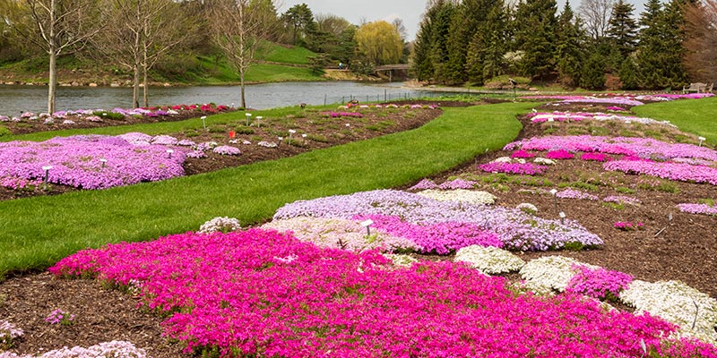 Plant Evaluation Garden | Chicago Botanic Garden
