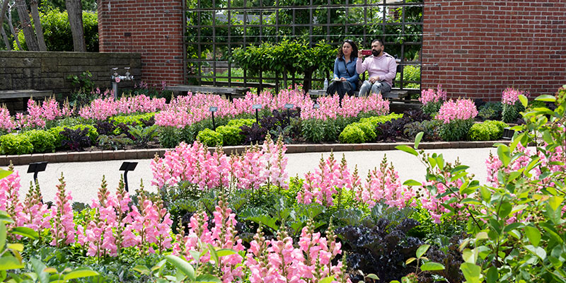 Regenstein Fruit & Vegetable Garden | Chicago Botanic Garden