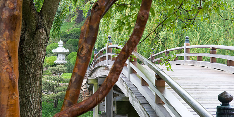 Elizabeth Hubert Malott Japanese Garden | Chicago Botanic Garden