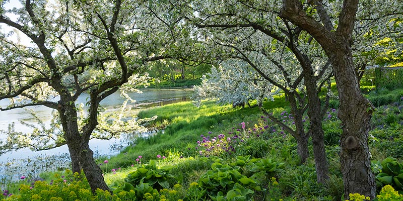 Lakeside Gardens | Chicago Botanic Garden