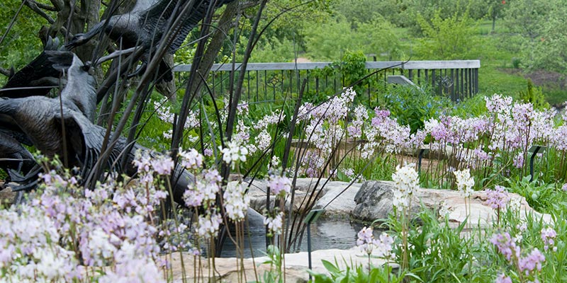 Native Plant Garden | Chicago Botanic Garden