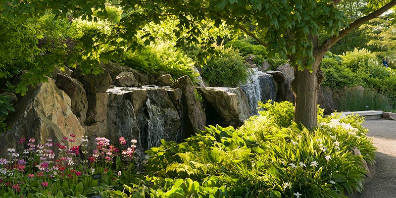 Waterfall Garden | Chicago Botanic Garden