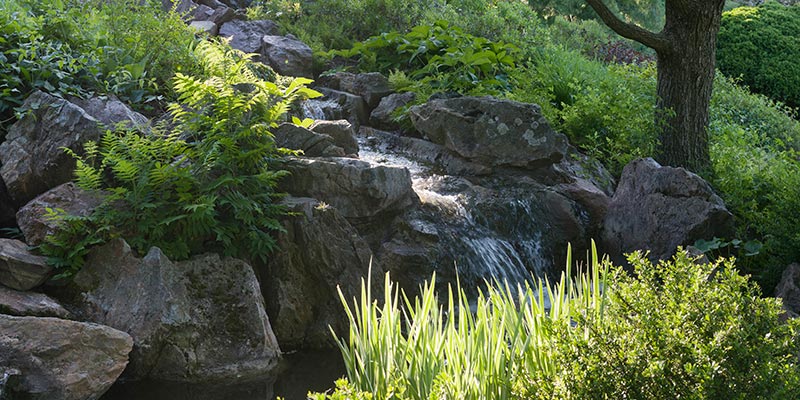Waterfall Garden | Chicago Botanic Garden