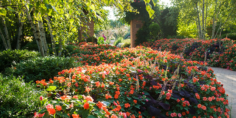 Buehler Enabling Garden | Chicago Botanic Garden