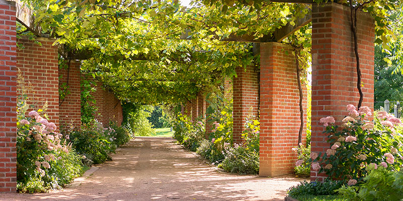 Regenstein Fruit & Vegetable Garden | Chicago Botanic Garden