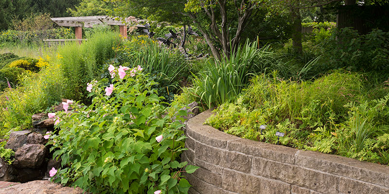 Native Plant Garden | Chicago Botanic Garden