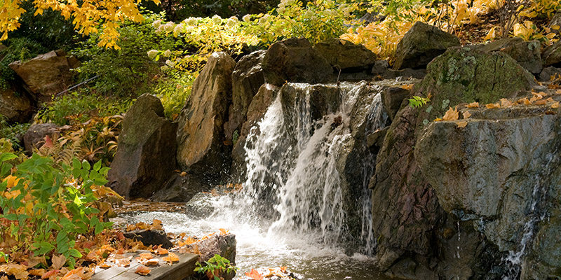 Waterfall Garden | Chicago Botanic Garden