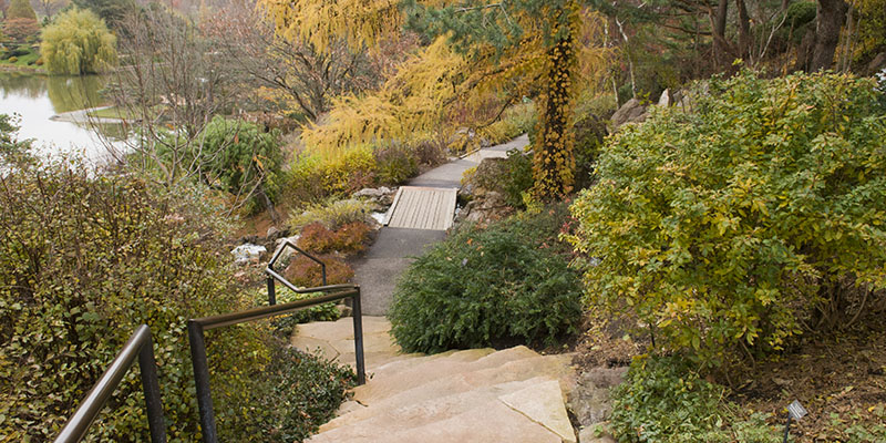 Waterfall Garden | Chicago Botanic Garden