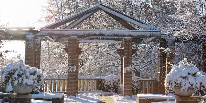 Buehler Enabling Garden | Chicago Botanic Garden