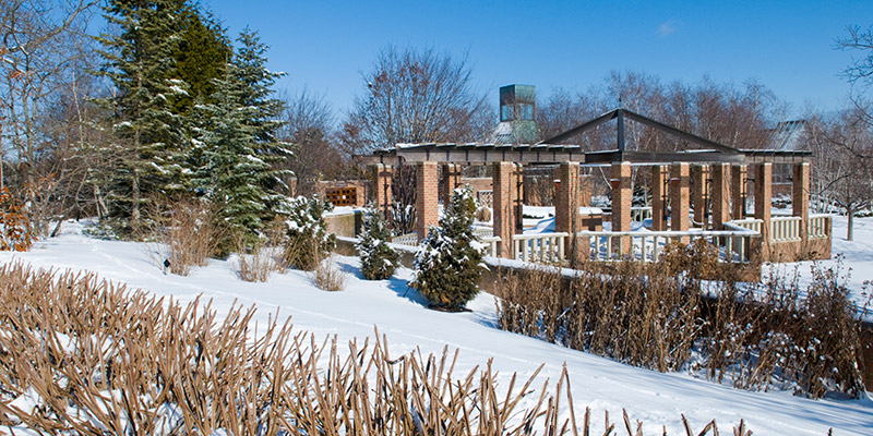 Buehler Enabling Garden | Chicago Botanic Garden