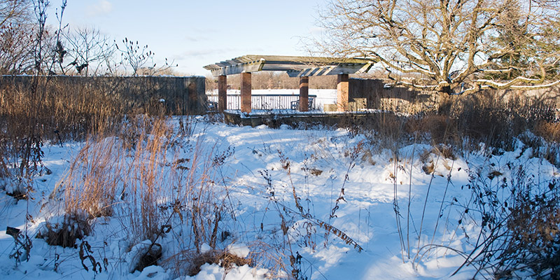 Native Plant Garden | Chicago Botanic Garden