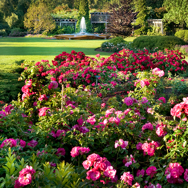 Spring at the Garden | Chicago Botanic Garden