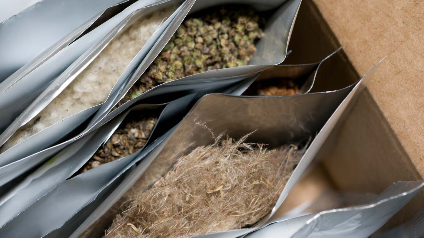 Super Seed Saturday | Chicago Botanic Garden