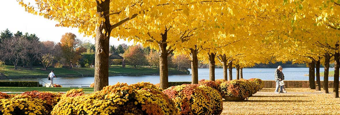 Chicago Botanic Garden