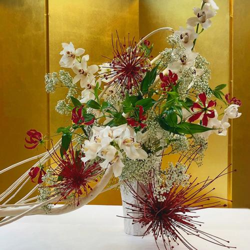 Flower Shows | Chicago Botanic Garden