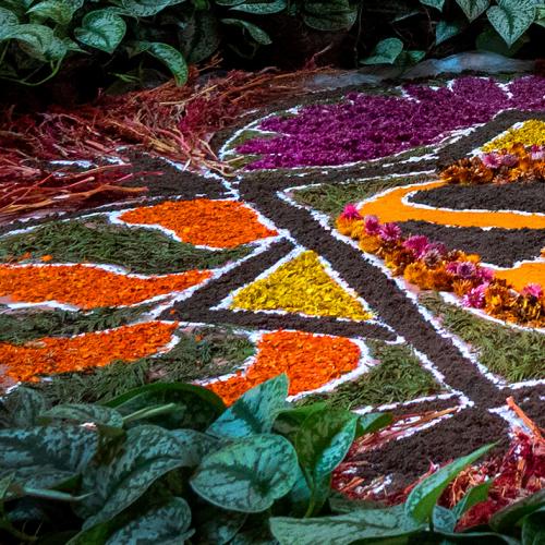 Chicago Botanic Garden