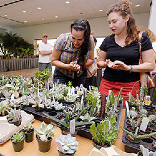 Flower Shows | Chicago Botanic Garden