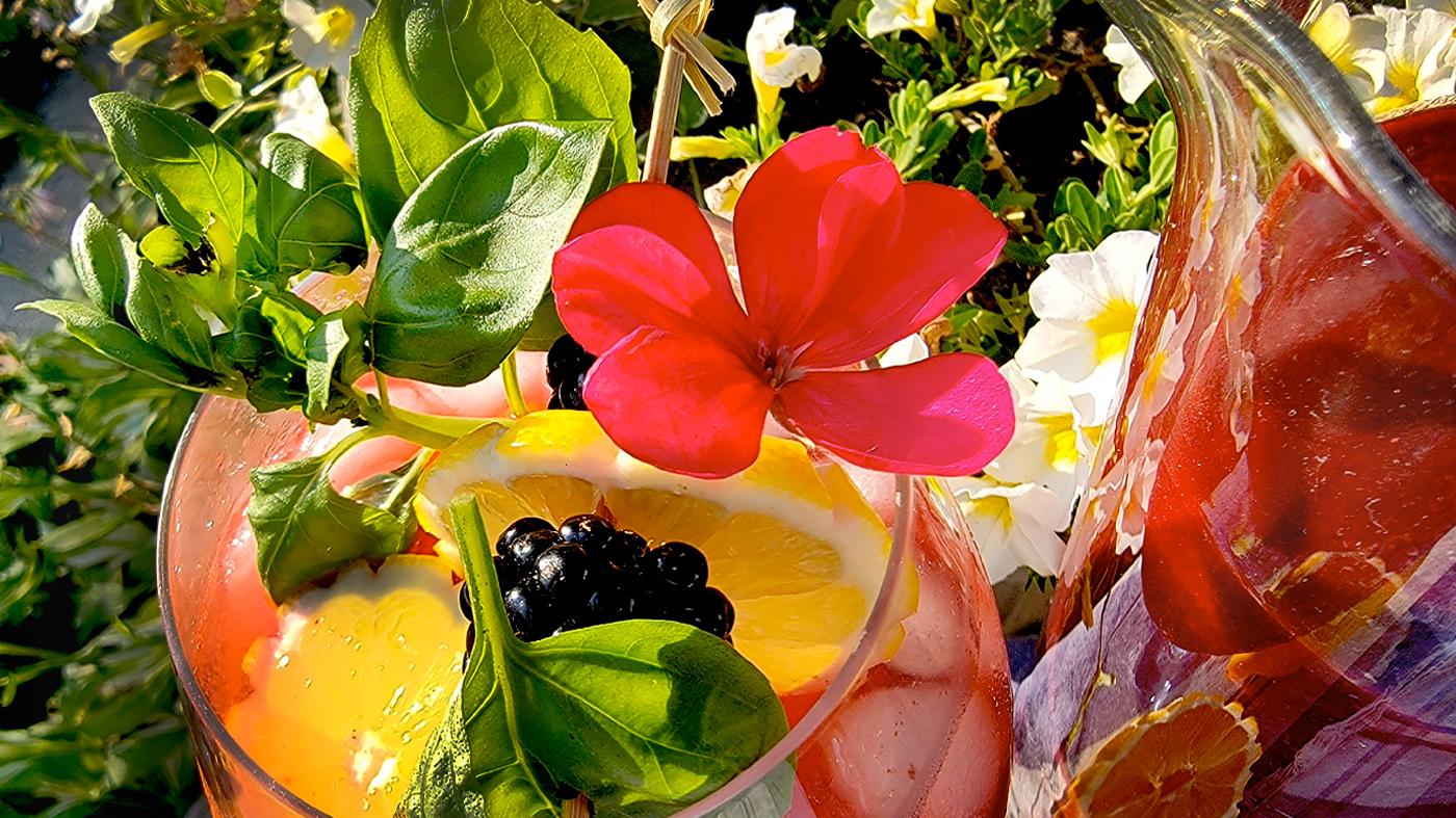 Calendar | Chicago Botanic Garden