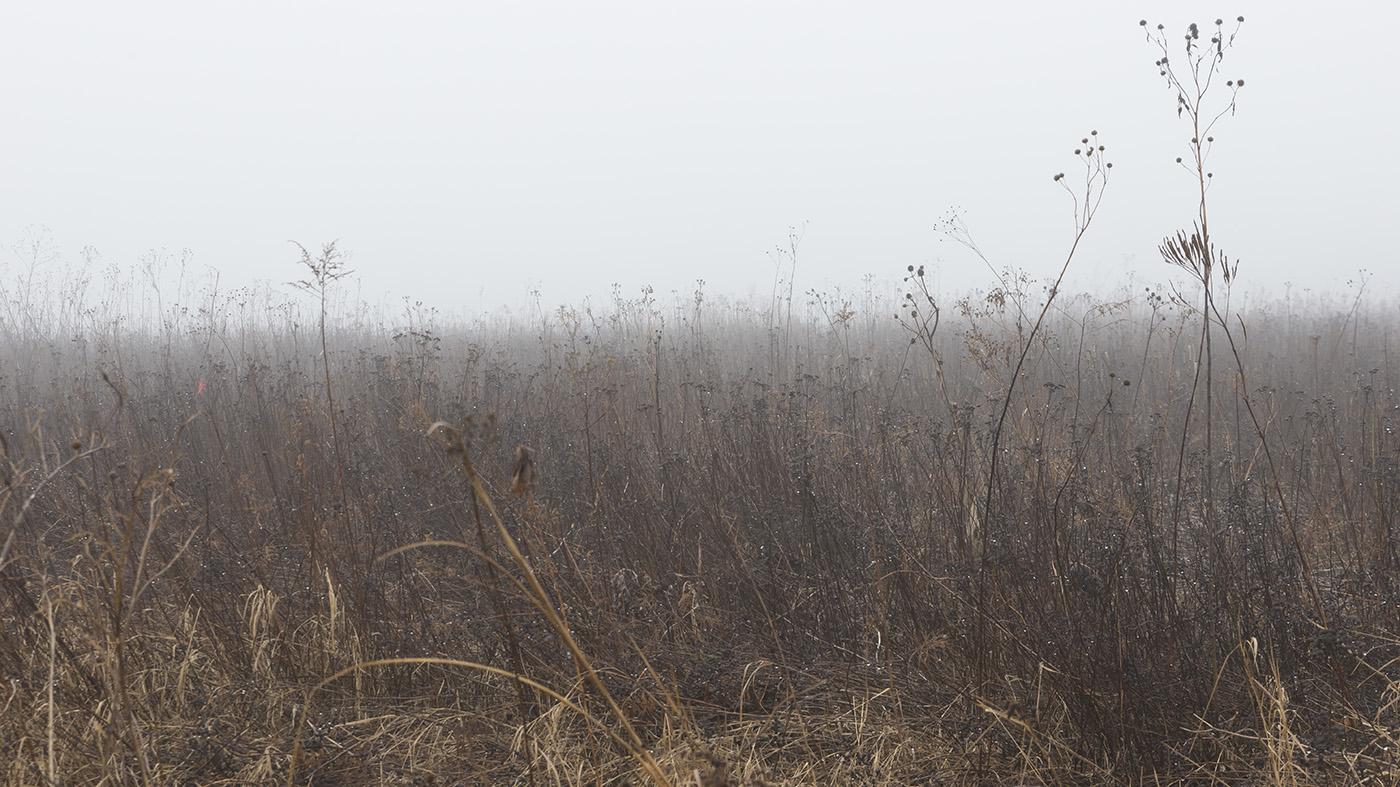 Gardens and Natural Areas | Chicago Botanic Garden