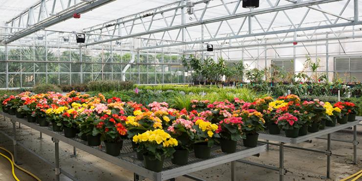 Horticulture | Chicago Botanic Garden