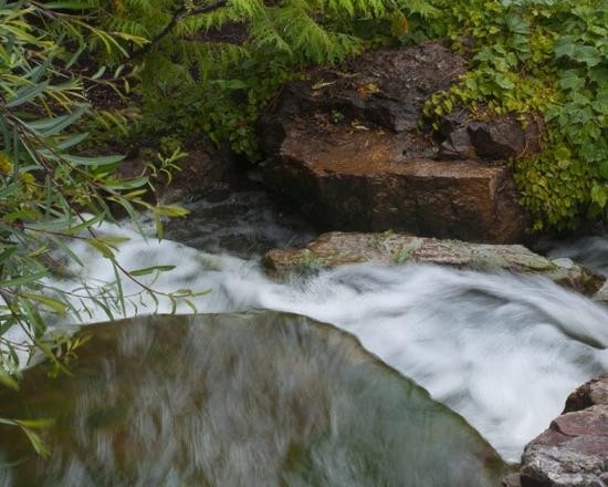 Waterfall Garden | Chicago Botanic Garden