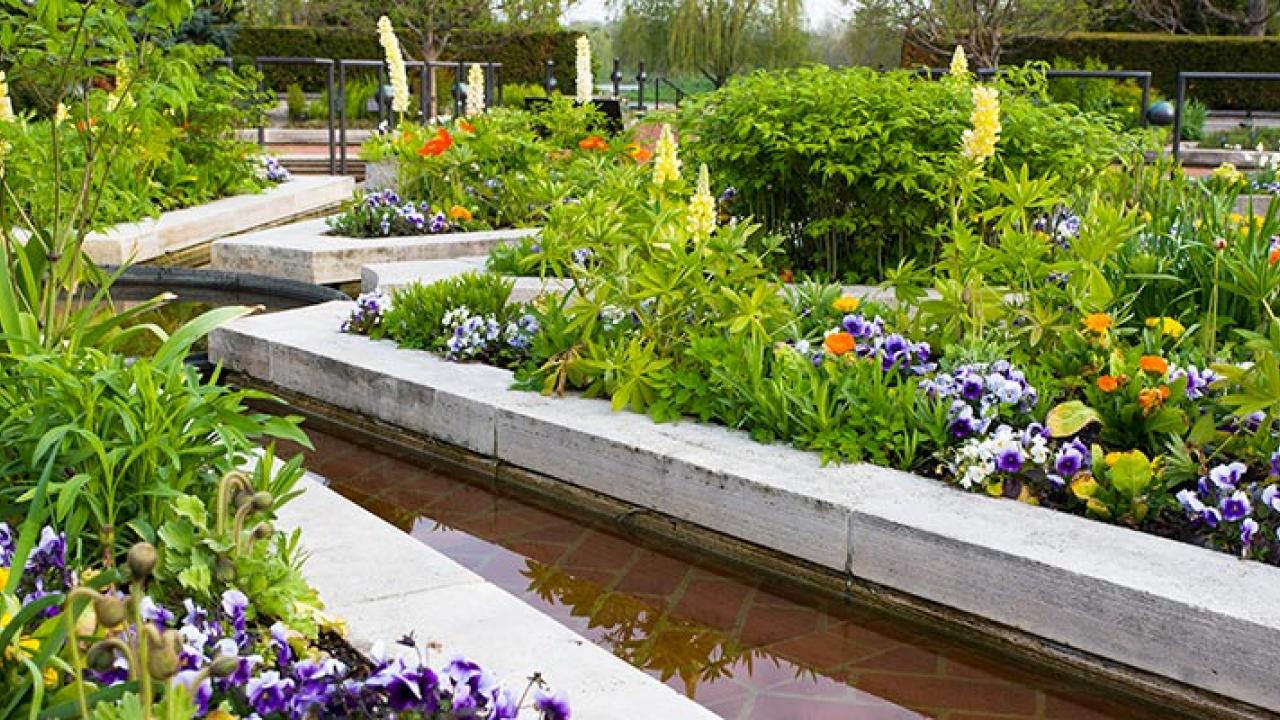 CBG-1208 - Demo | Chicago Botanic Garden
