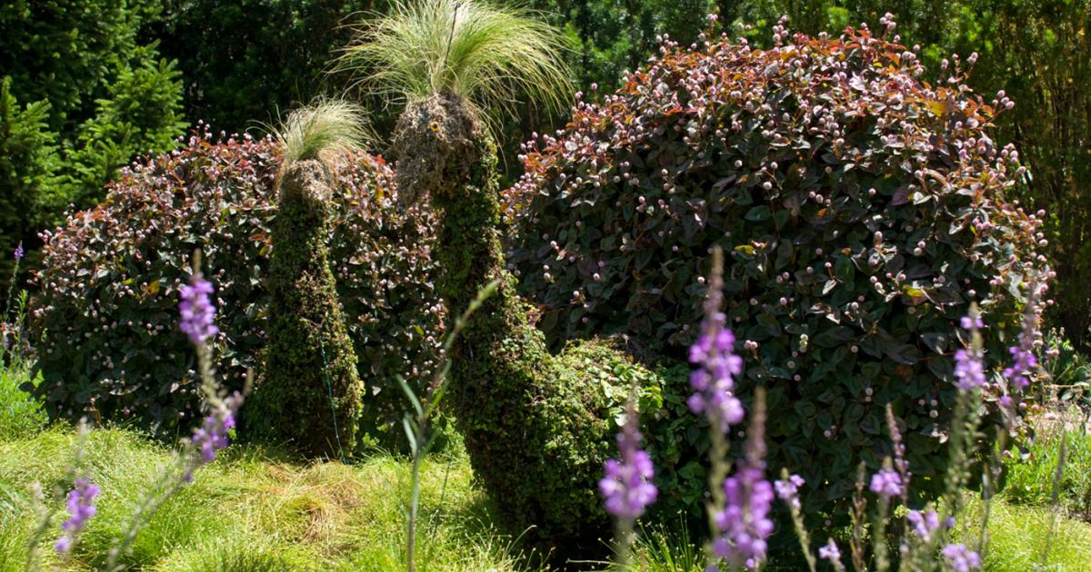 Tempting Topiaries | Chicago Botanic Garden