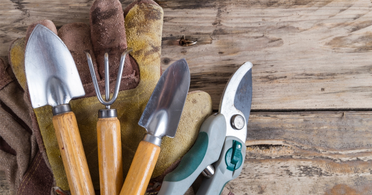 Gardening Tools: Rake and Roll | Chicago Botanic Garden