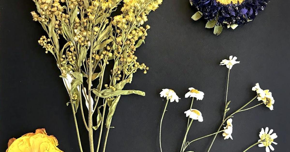 How to Press Flowers in Four Easy Steps | Chicago Botanic Garden