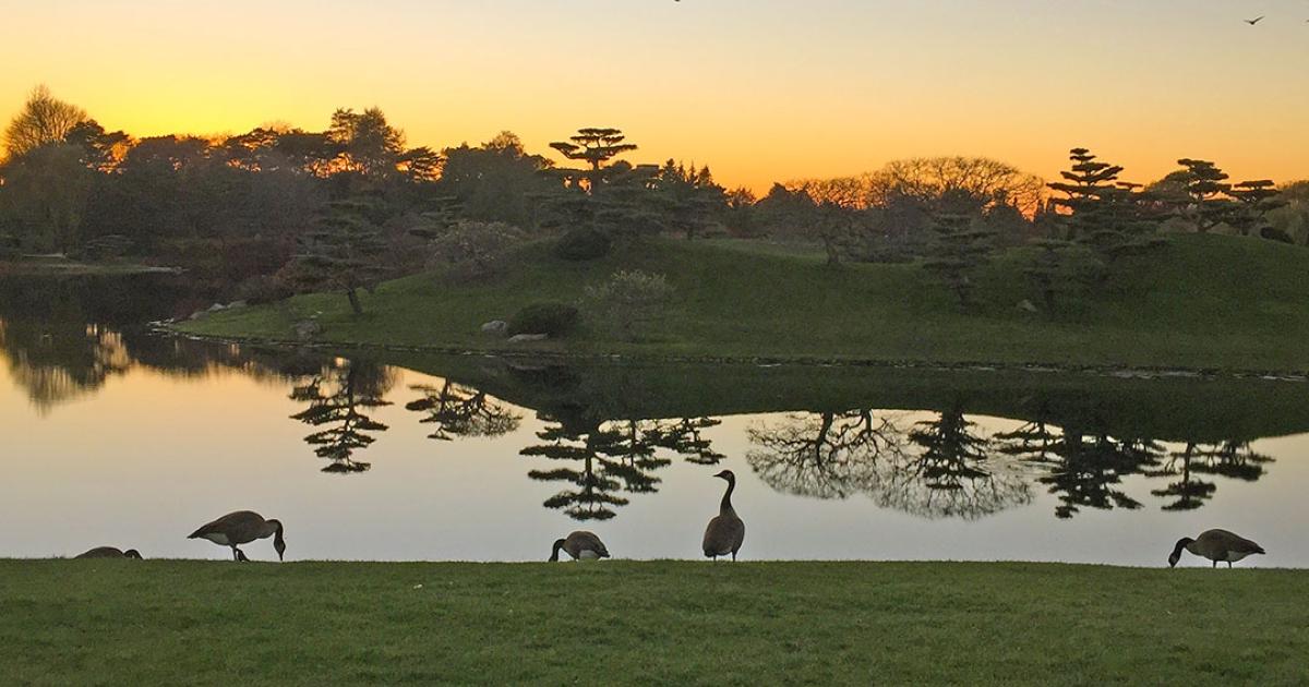 Create your own solstice tradition | Chicago Botanic Garden