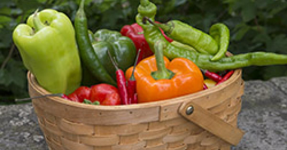 Peppers are Hot | Chicago Botanic Garden