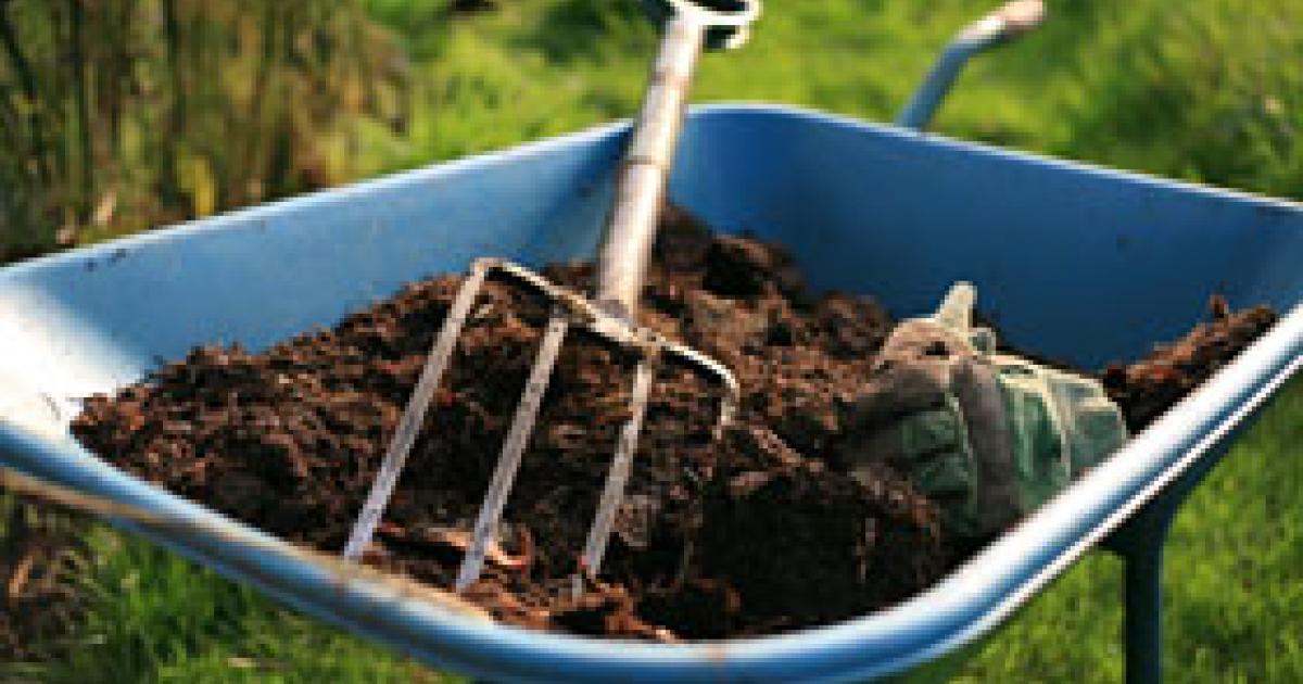 The Dirt on Soil | Chicago Botanic Garden