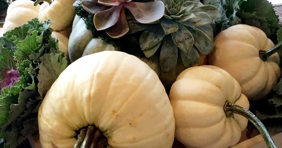 Thanksgiving, made simple | Chicago Botanic Garden
